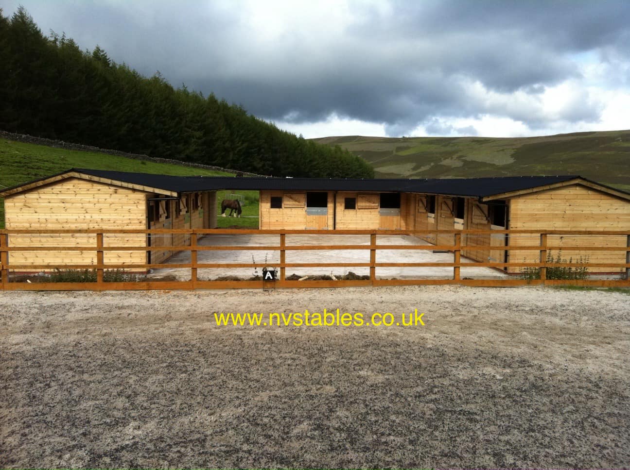 NV Stables - Pocket Horse