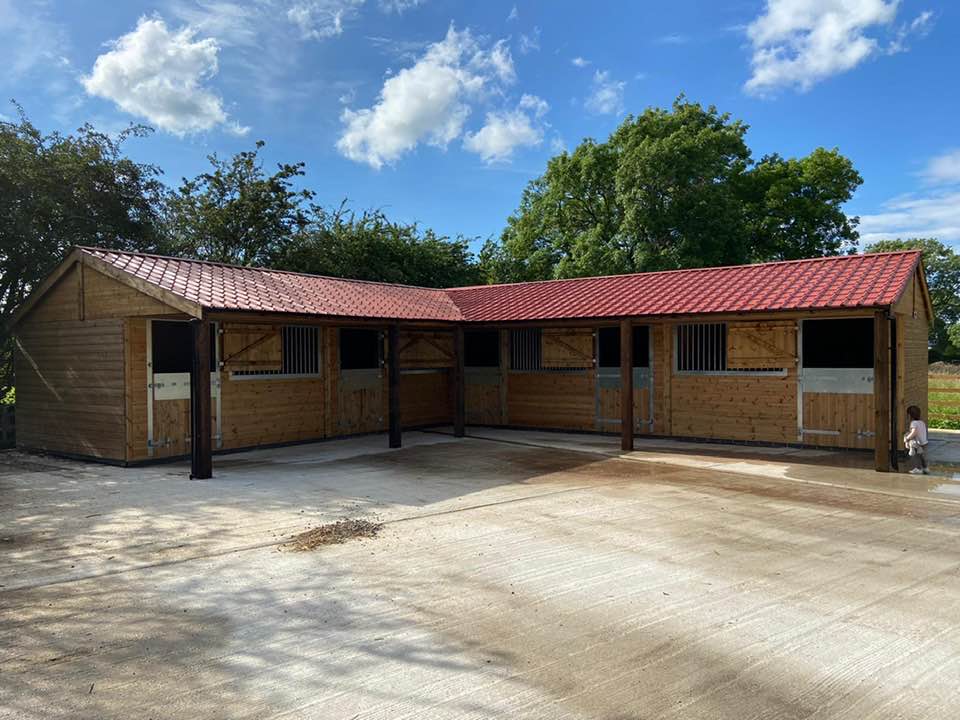 NV Stables - Pocket Horse